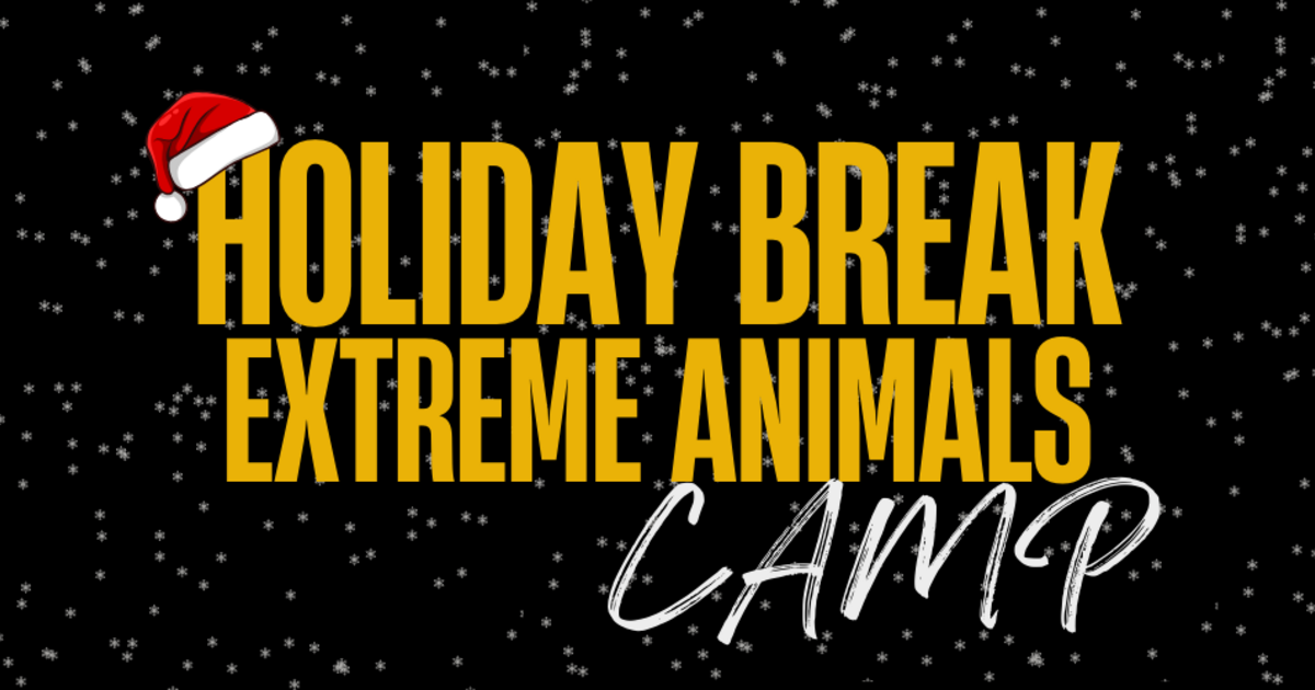 Holiday Break Extreme Animals Camp | City of Moore