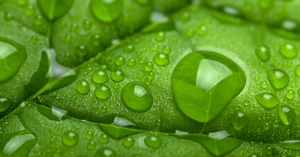 Environmental Services | City of Moore